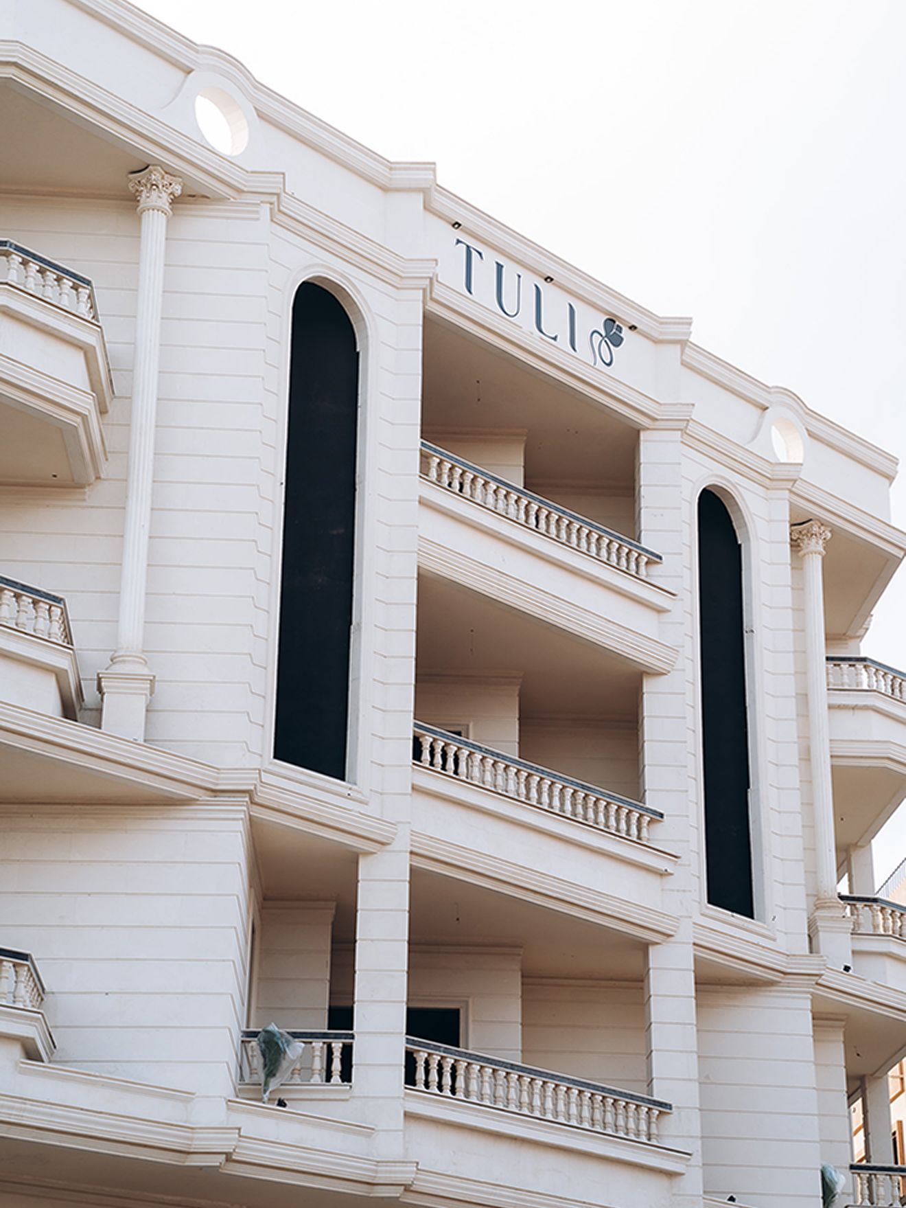 TULIP - Gemotec Development